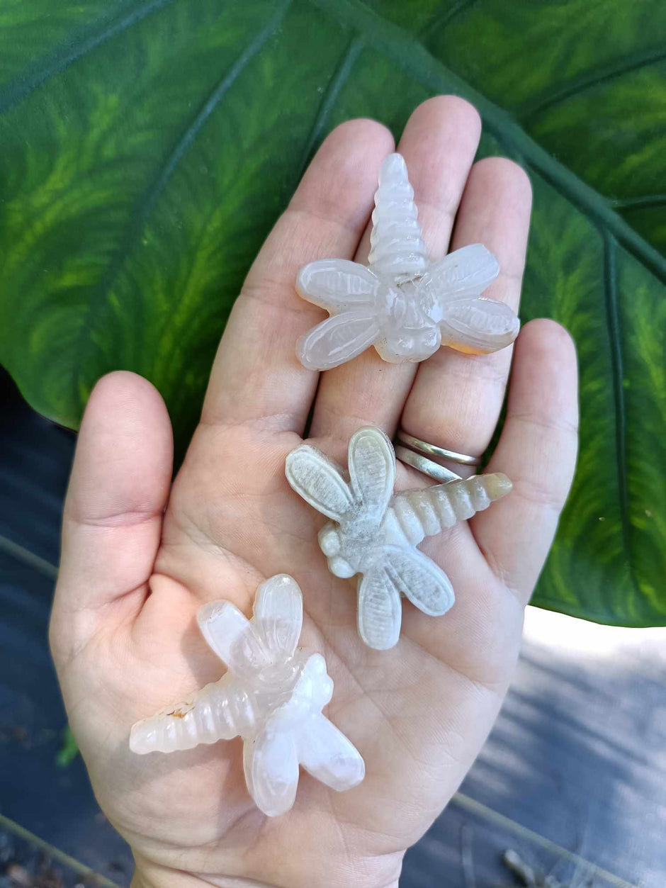 Orender Gardens Plants, Stone, Fossil, Crystal, Quartz, Goatmilk Soap!